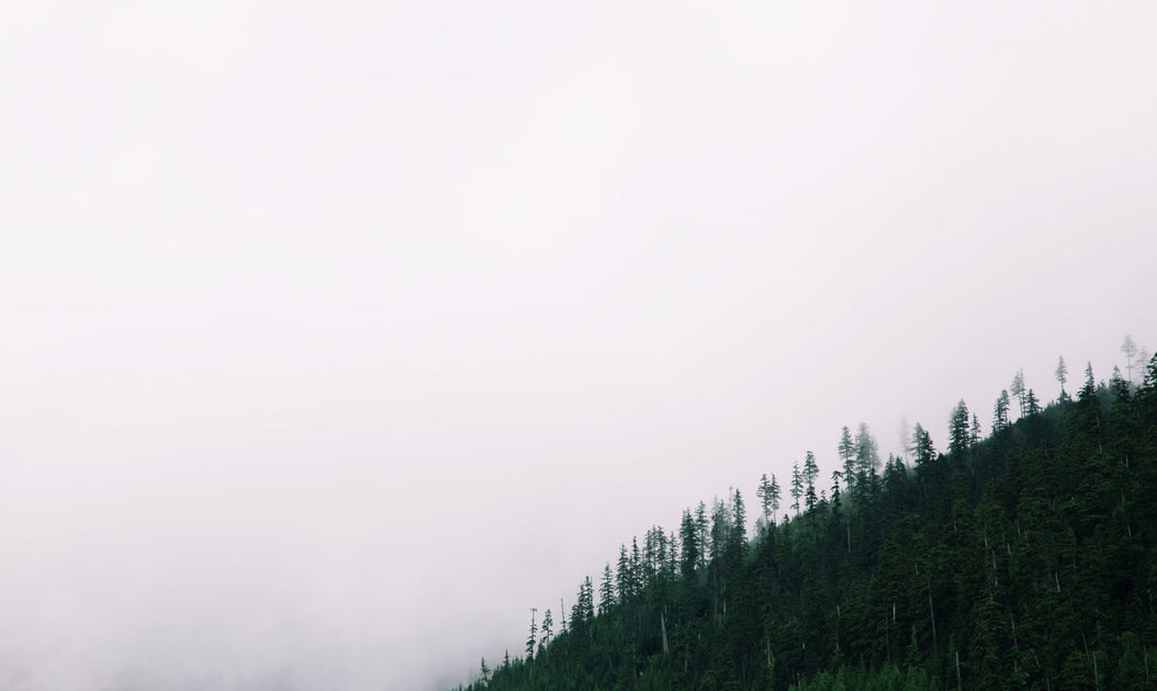 THE PNW 3-YEAR WARRANTY – PNW Components UK